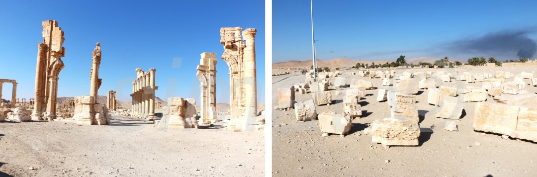 A Report on the Initial Observations of the Current State of Palmyra's ...